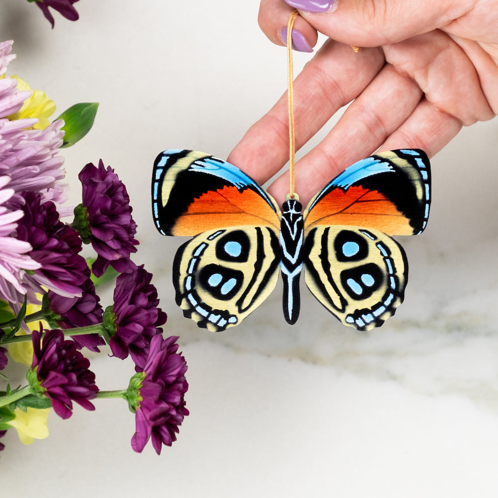 Numberwing Butterfly Ornament Notecard Gift – Tulia's Artisan Gallery